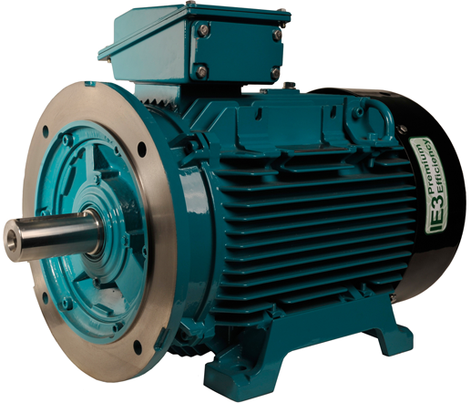 BC4N020-4 20HP 1800RPM 230/460V Cast Iron NEMA 256T Foot - MROSupply.com