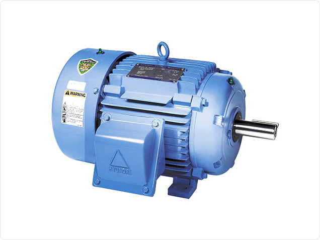 Hyundai IEEE5-12-215TC 5 HP 1200 RPM 215T 460V Crown Triton Series ...